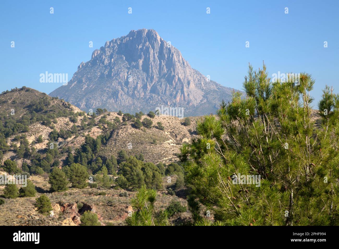 Landscape close to Puig Campana Mountain; Benidorm; Alicante; Spain ...