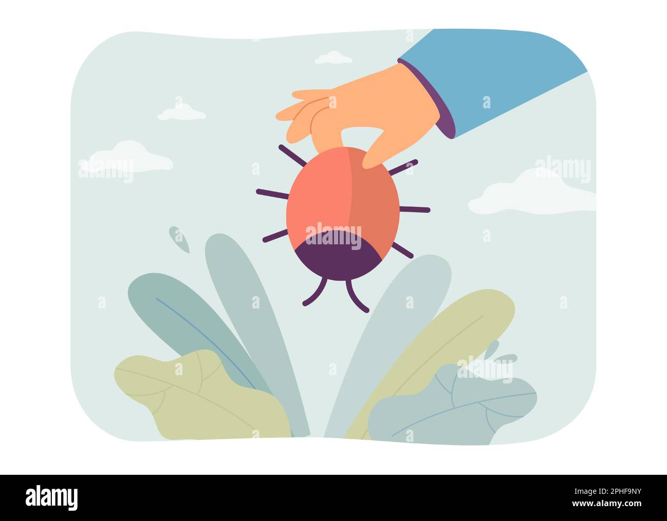 Grain beetle Stock Vector Images - Alamy