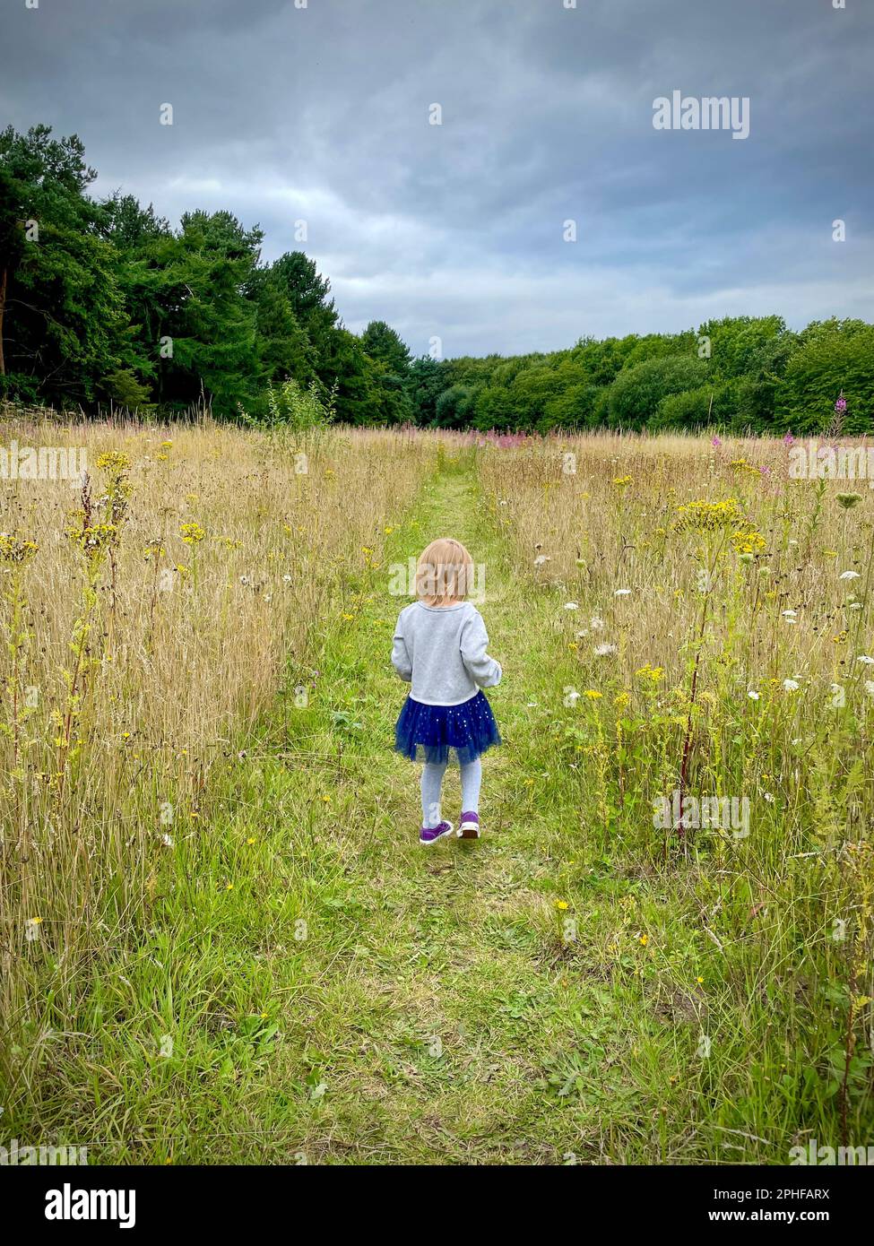 A little girl walks down a pathway through a wild flower meadow Stock ...