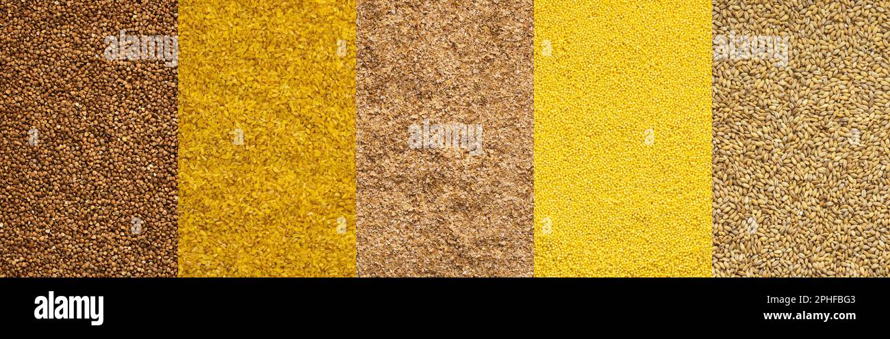 Various grain cereals banner, top view, brown buckwheat and bulgur ...