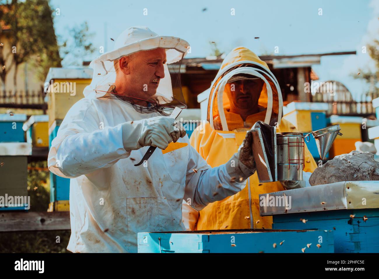 Beekeepers checking honey on the beehive frame in the field. Small ...