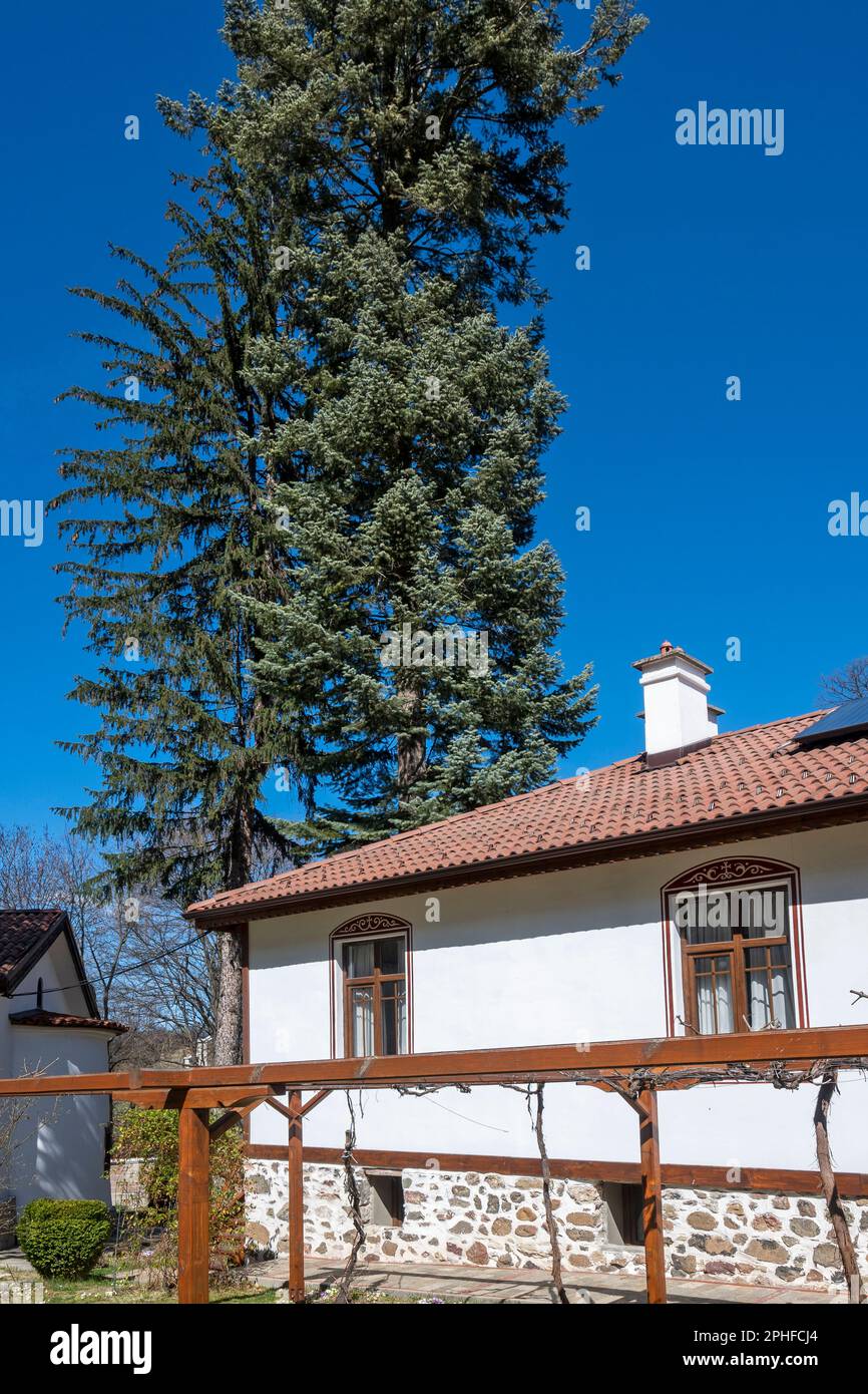 Orthodox Divotino Monastery dedicated to Holy Trinity at Lyulin ...