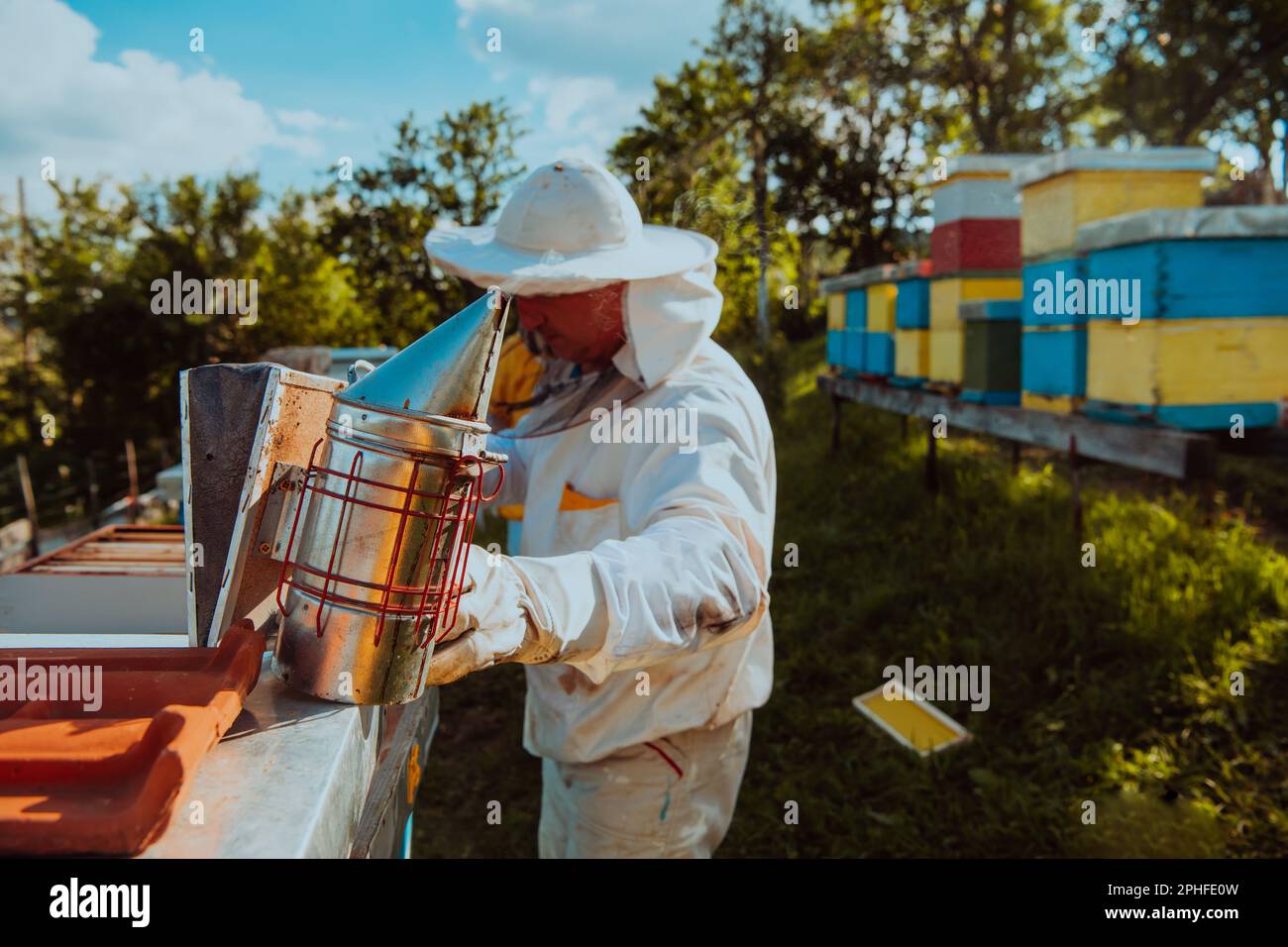 The beekeeper using smoke to calm the bees and begins to inspect the ...