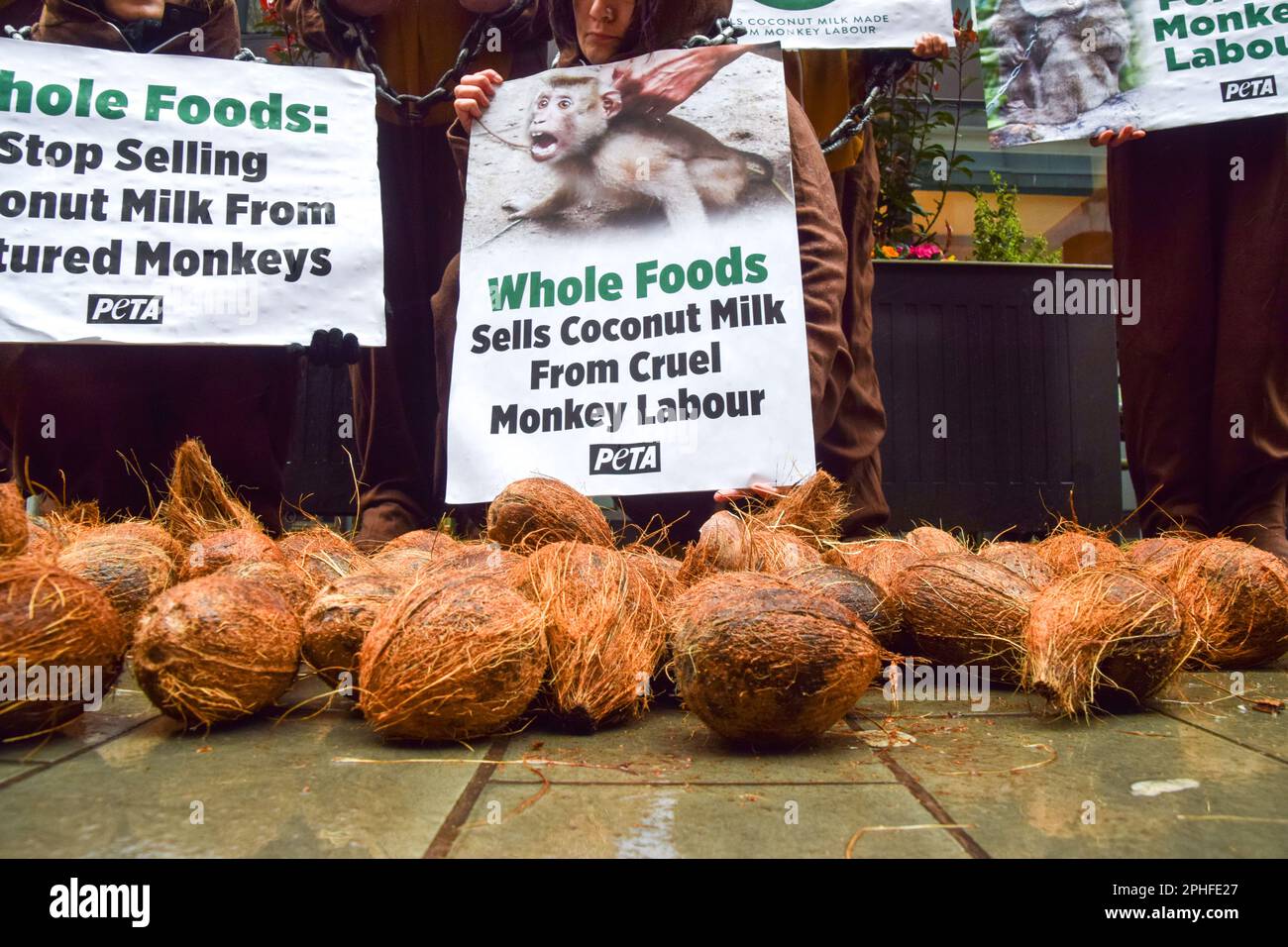 London, UK. 28th March 2023. PETA activists dressed as chained monkeys ...