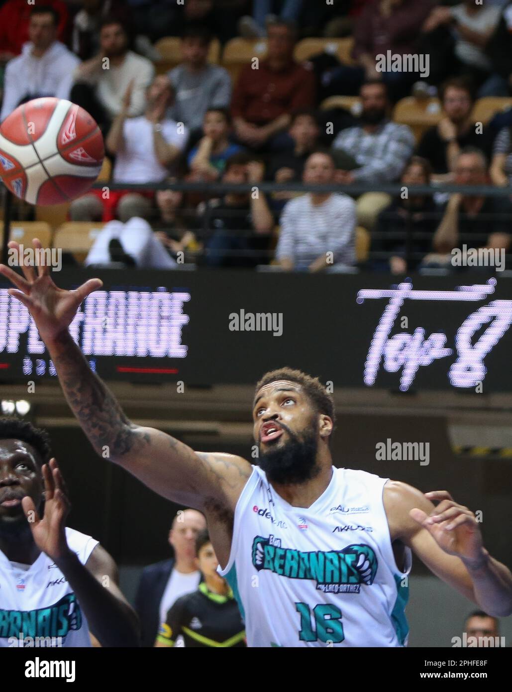 Darel POIRIER of Pau-Lacq-Orthez during the French cup, Top 8, quarter ...