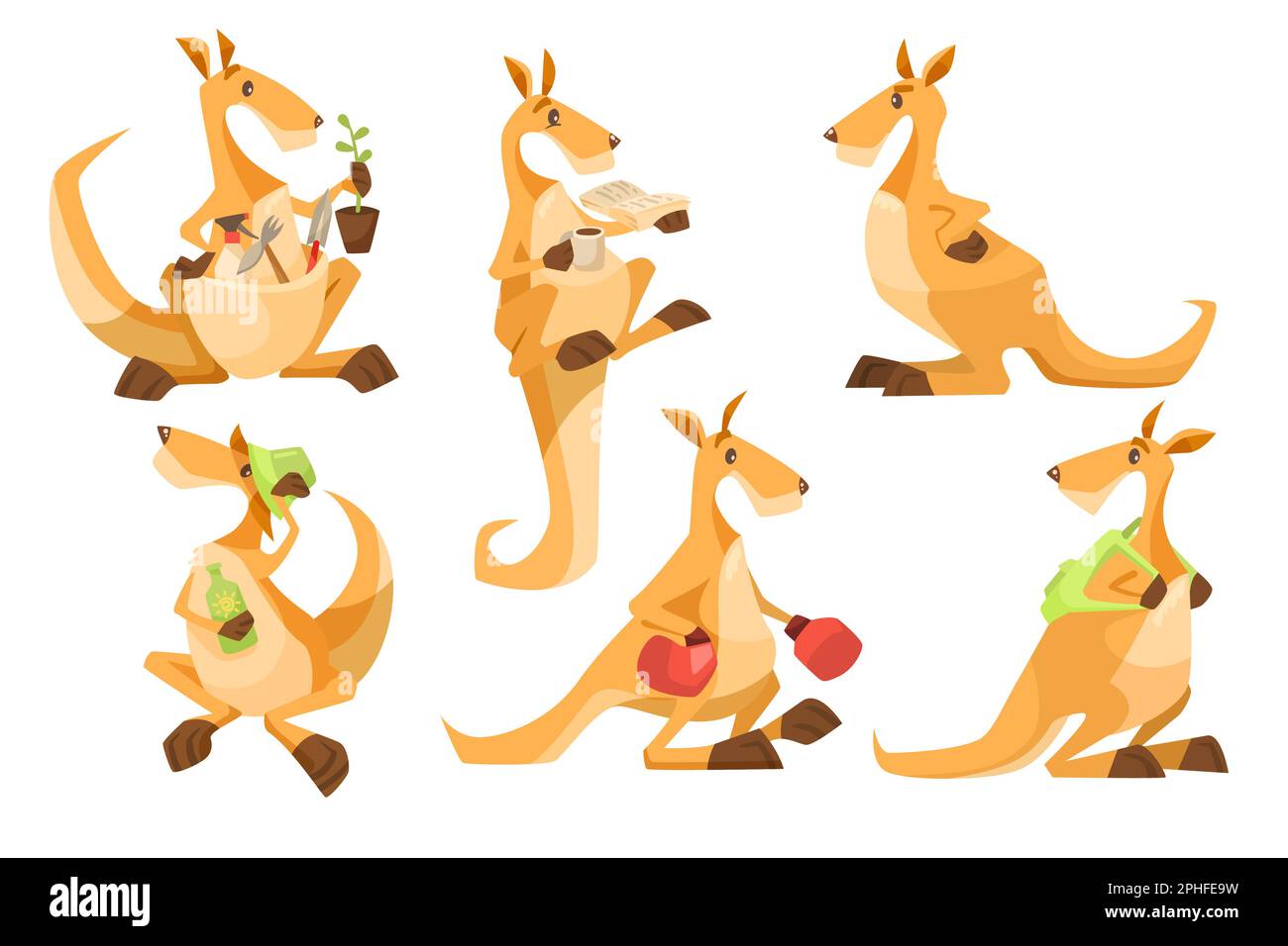 Cute kangaroo cartoon character vector illustrations set Stock Vector Image & Art - Alamy
