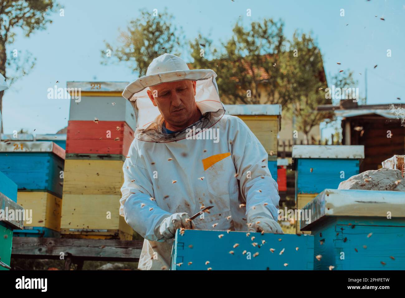 Beekeeper checking honey on the beehive frame in the field. Small ...