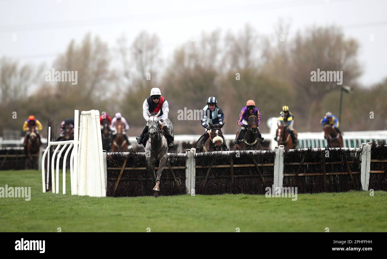 Greyval horse hi-res stock photography and images - Alamy