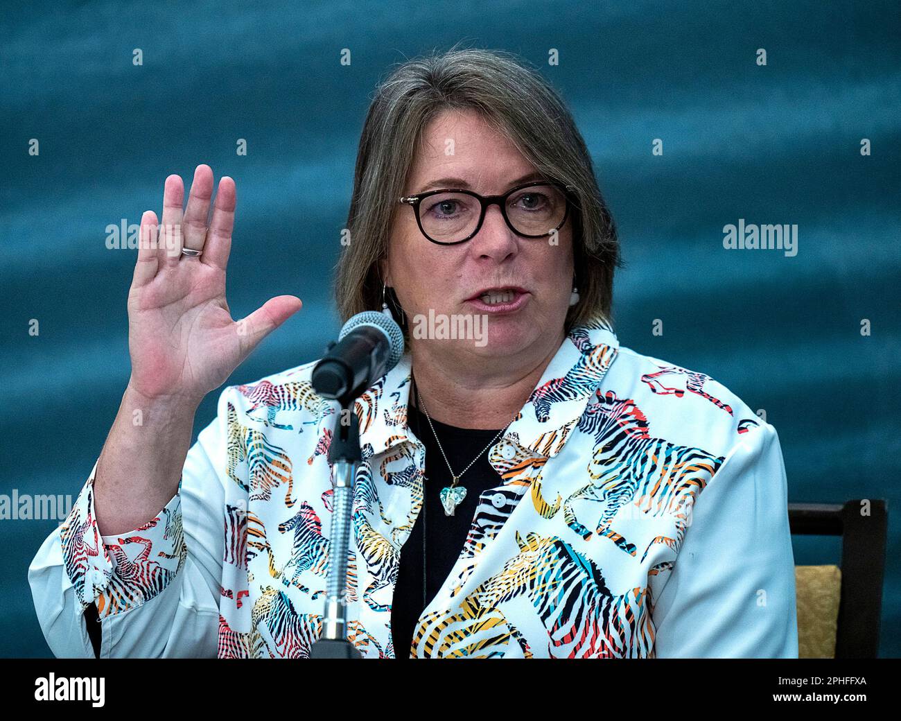 RCMP Commissioner Brenda Lucki testifies at the Mass Casualty ...