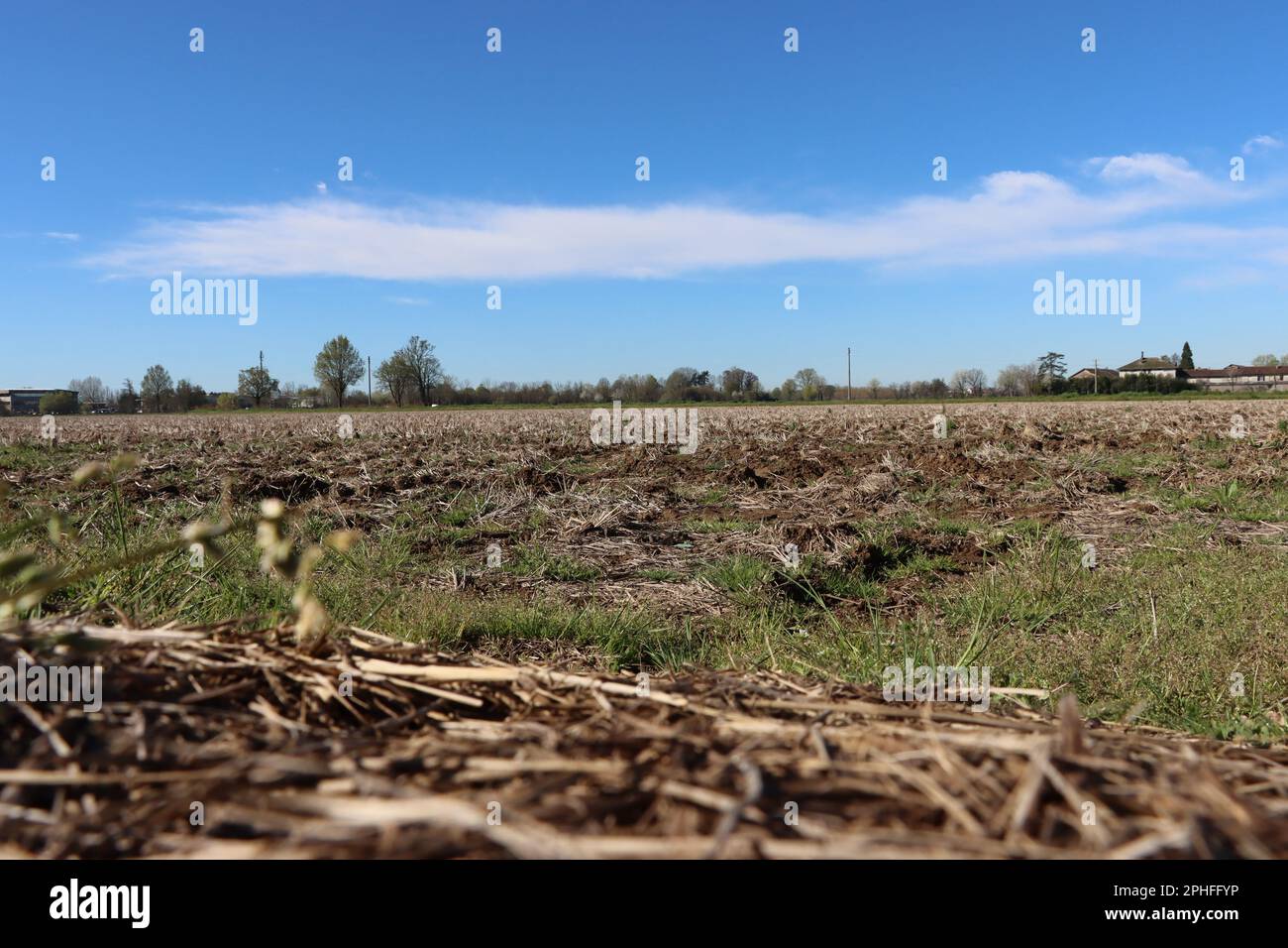 Dry agricultural fields in southern Lombardy Stock Photo - Alamy