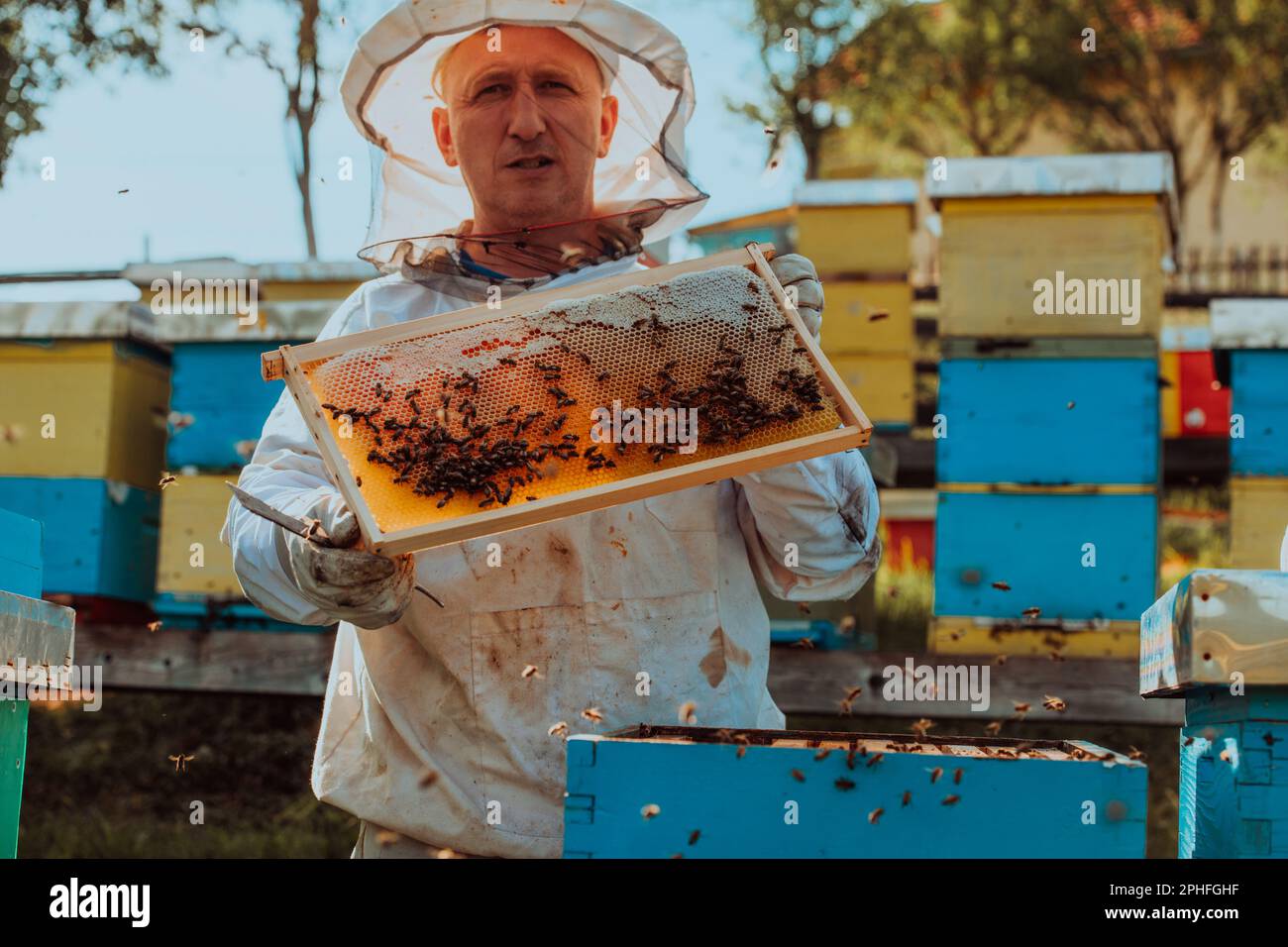 Beekeeper checking honey on the beehive frame in the field. Small ...