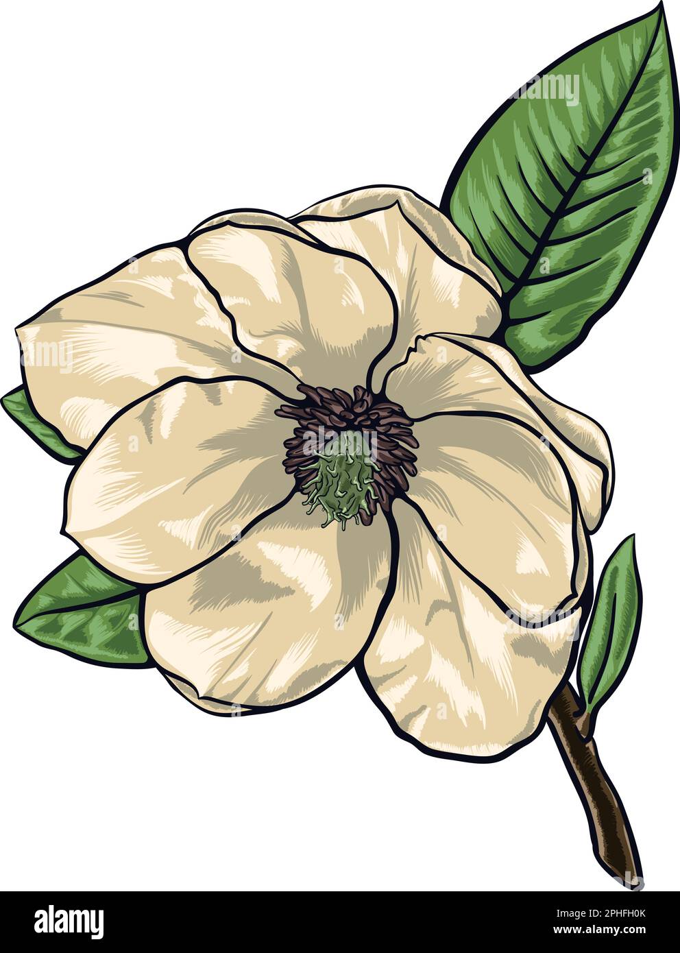 Flower of quince tree vector. Hand drawn blossoming quince Stock Vector ...