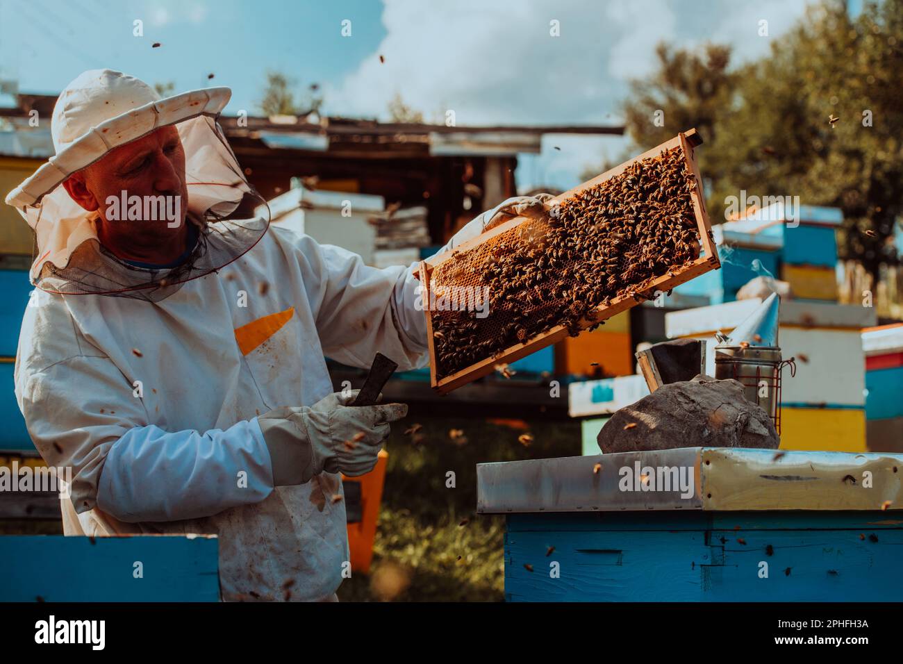 Beekeeper holding the beehive frame filled with honey against the ...