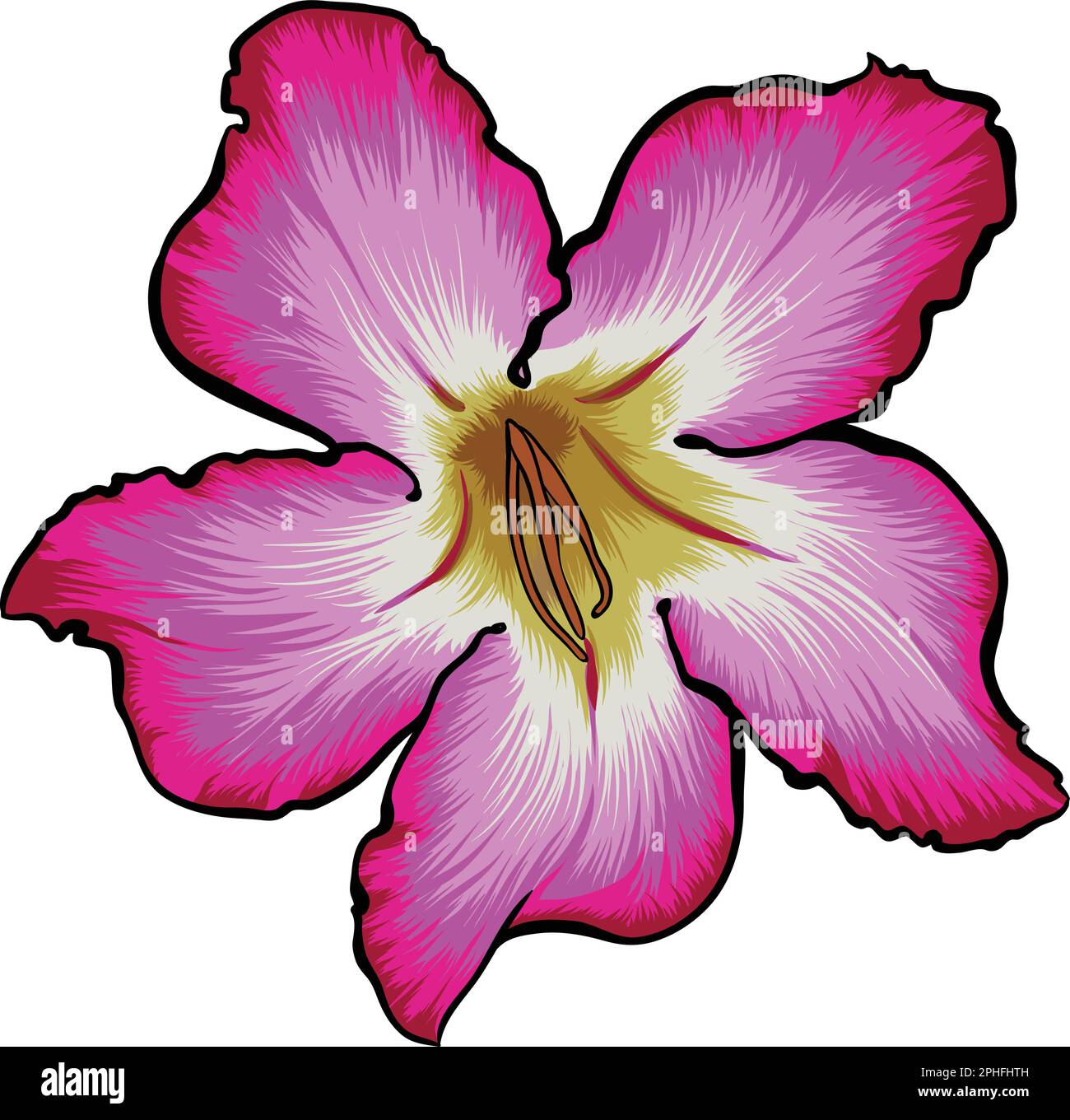 Delicate adenium flower with wonderful colors. Hand-drawn vector ...