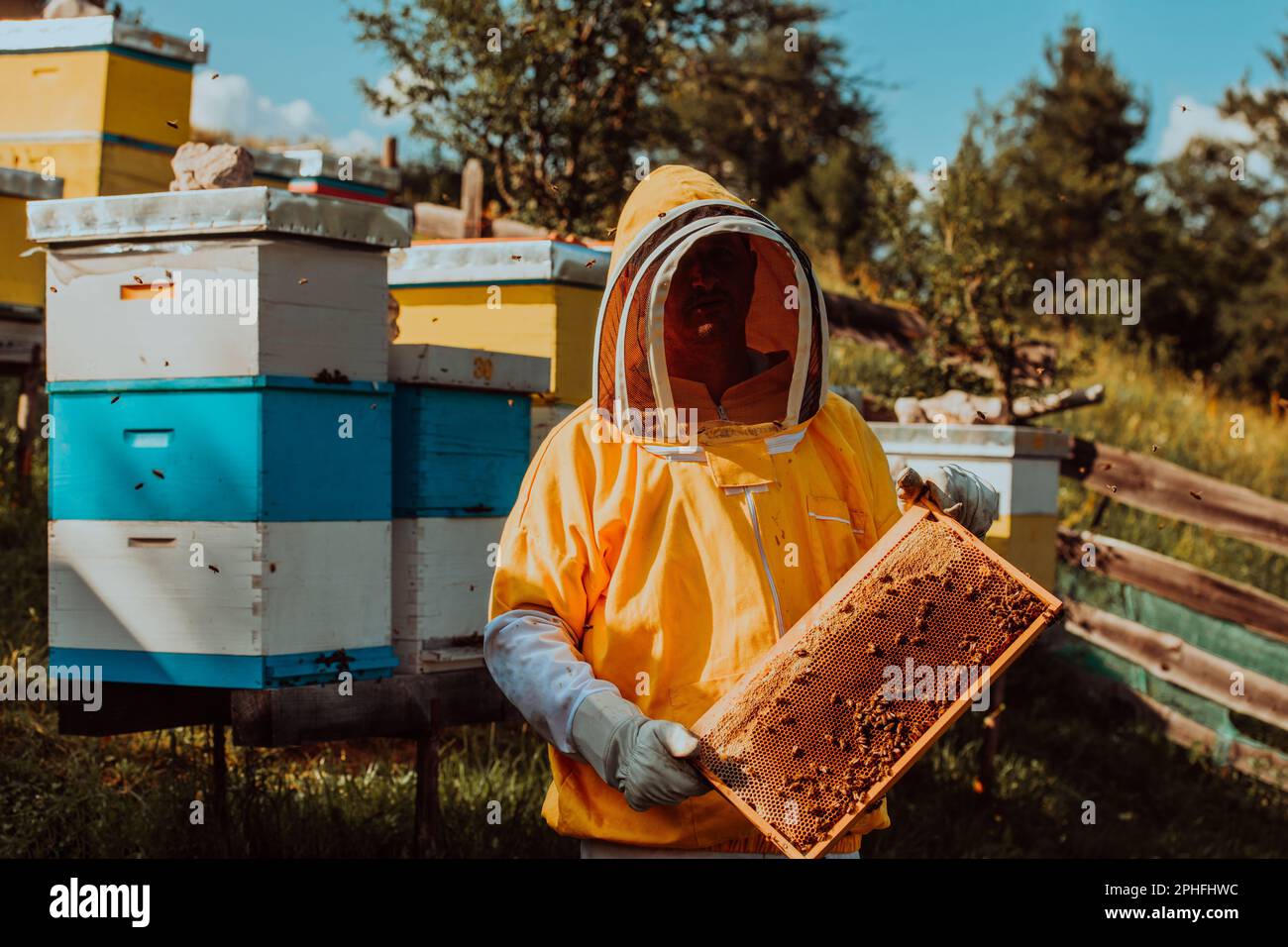 Beekeeper checking honey on the beehive frame in the field. Small ...