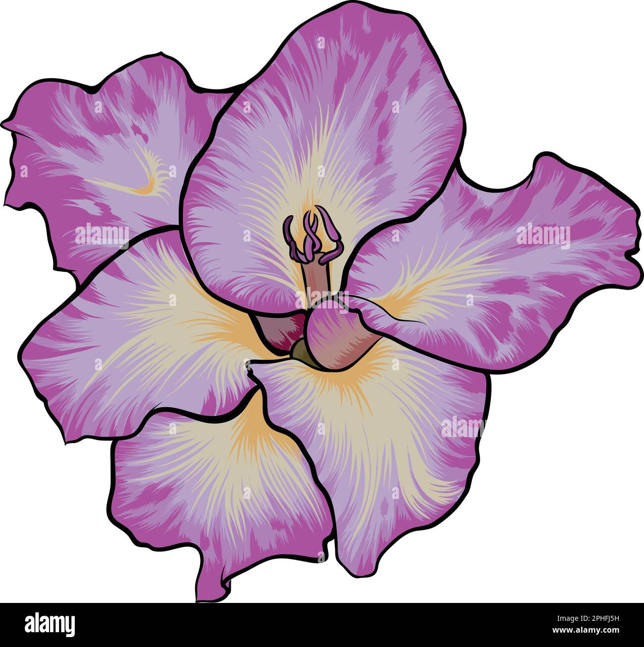 Gladiola Stock Vector Images - Alamy