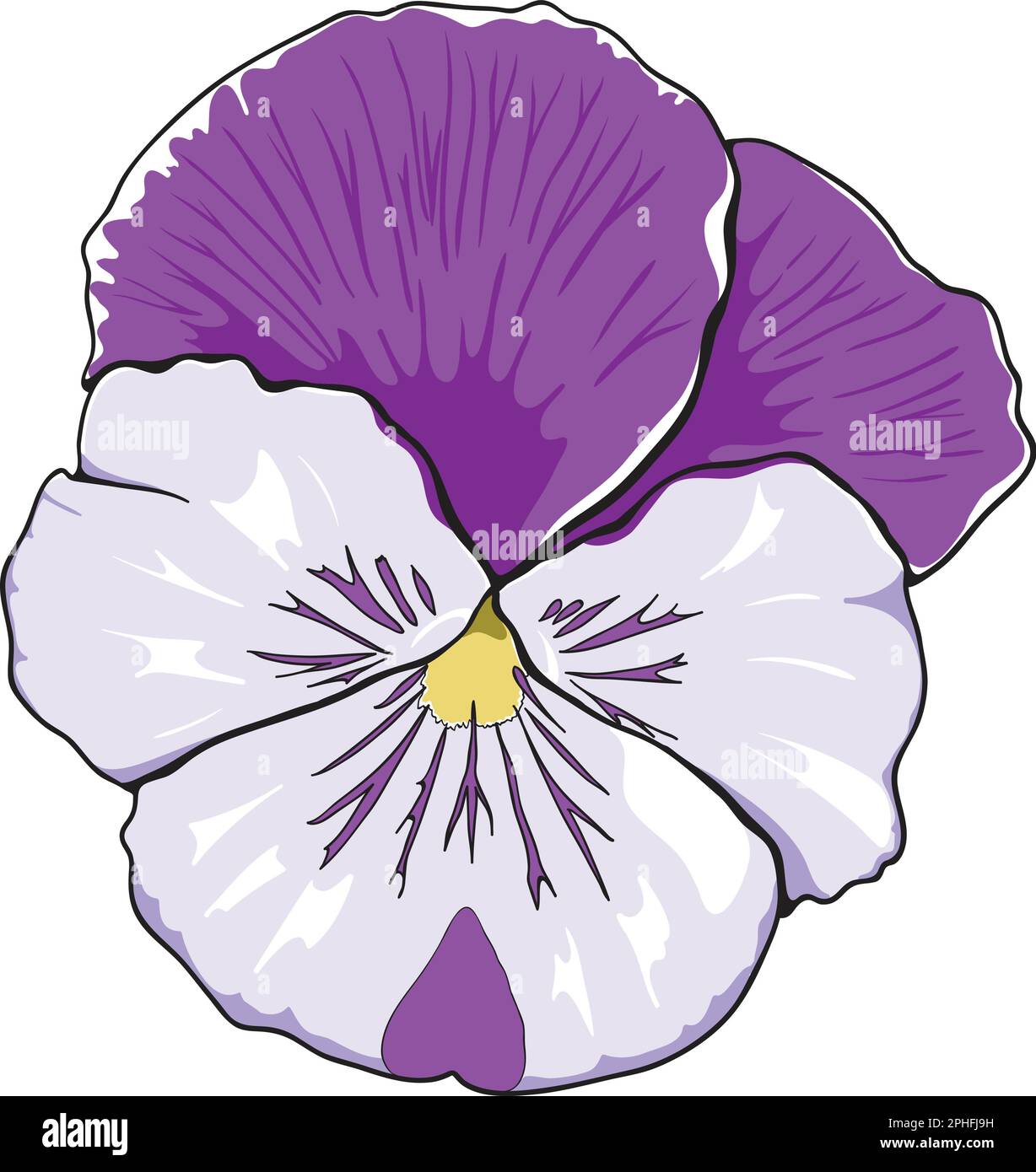 Elegat violet pansie fower with beautiful details. Hand-drawn vector ...