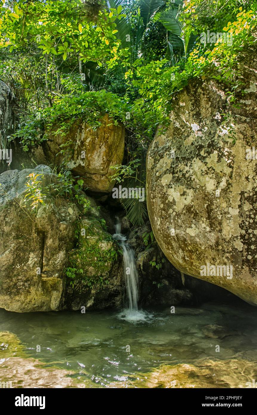 A scenic view of a small waterfall cascading down a hill surrounded by ...