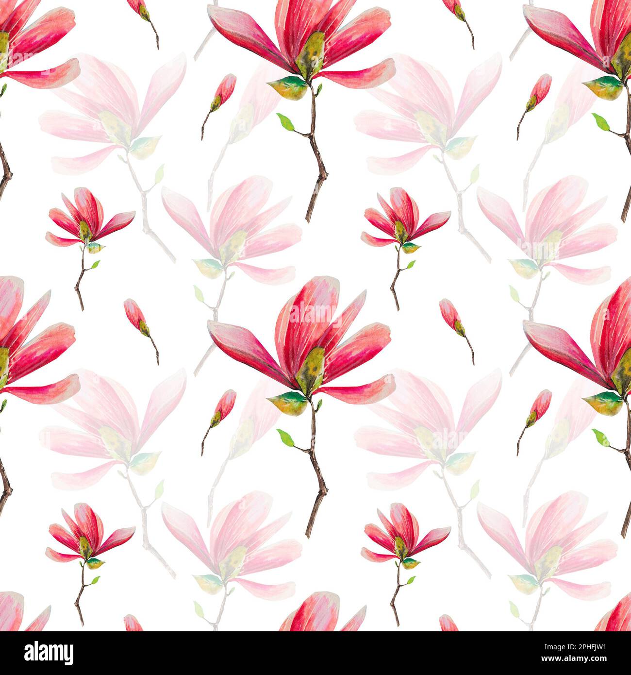 Magnolia pattern illustration,hand drawing. The drawing is made with ...