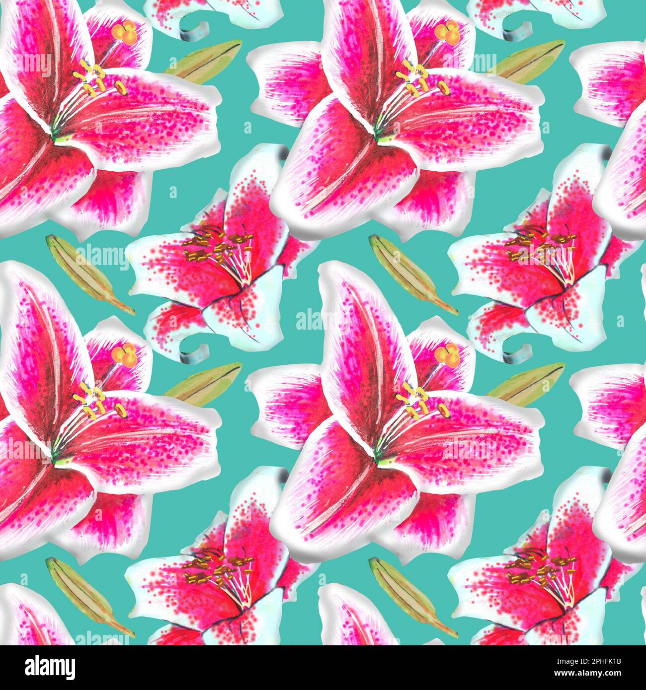 pink lily illustration,hand drawing.The drawing is made with alcohol ...