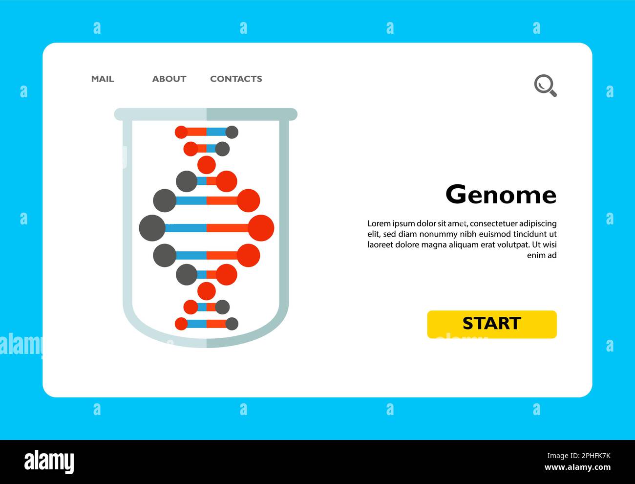 Chromosome vector hi-res stock photography and images - Alamy