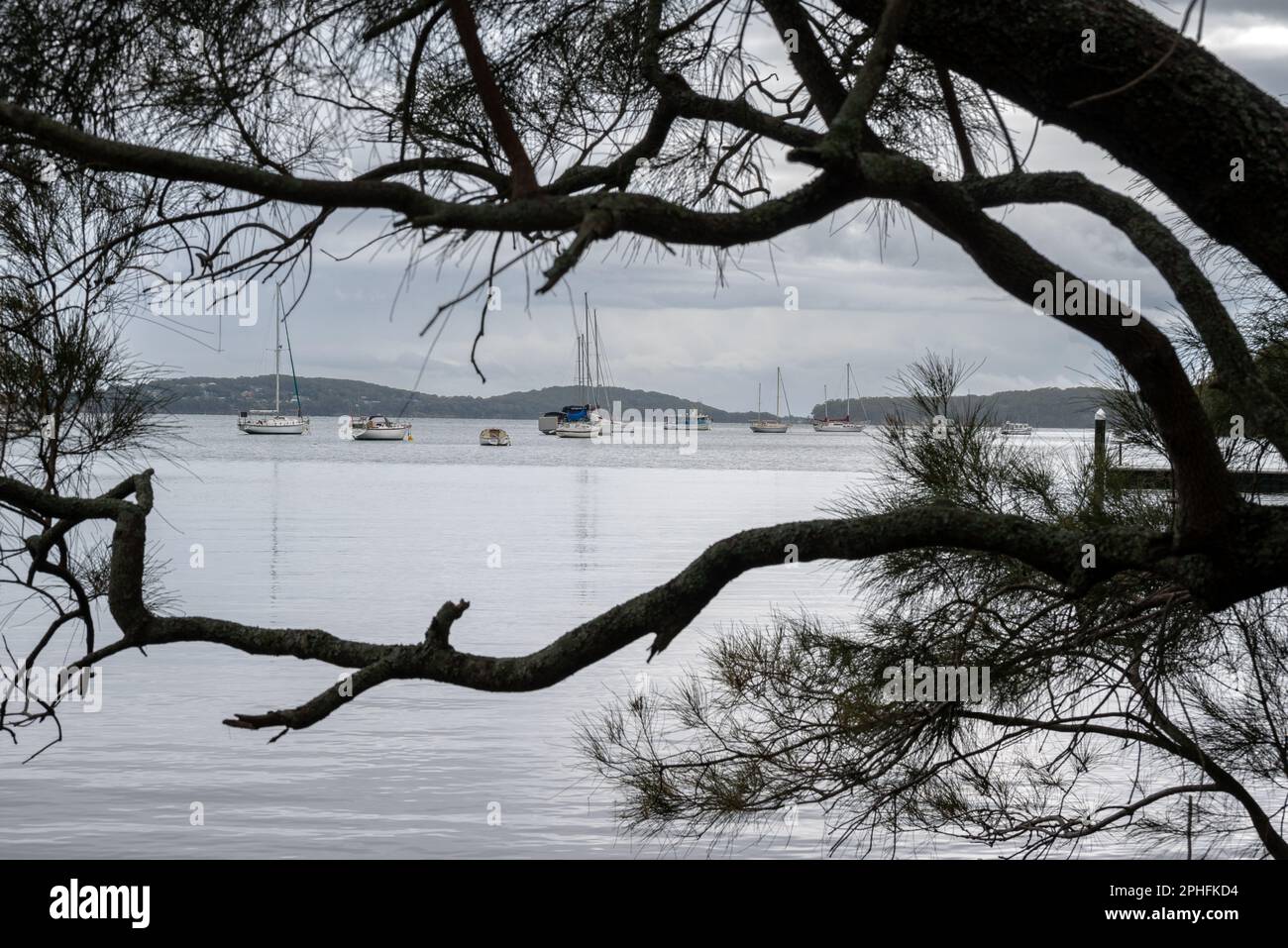 Tree branches frame pleasure craft and yachts as they lie at anchor in ...