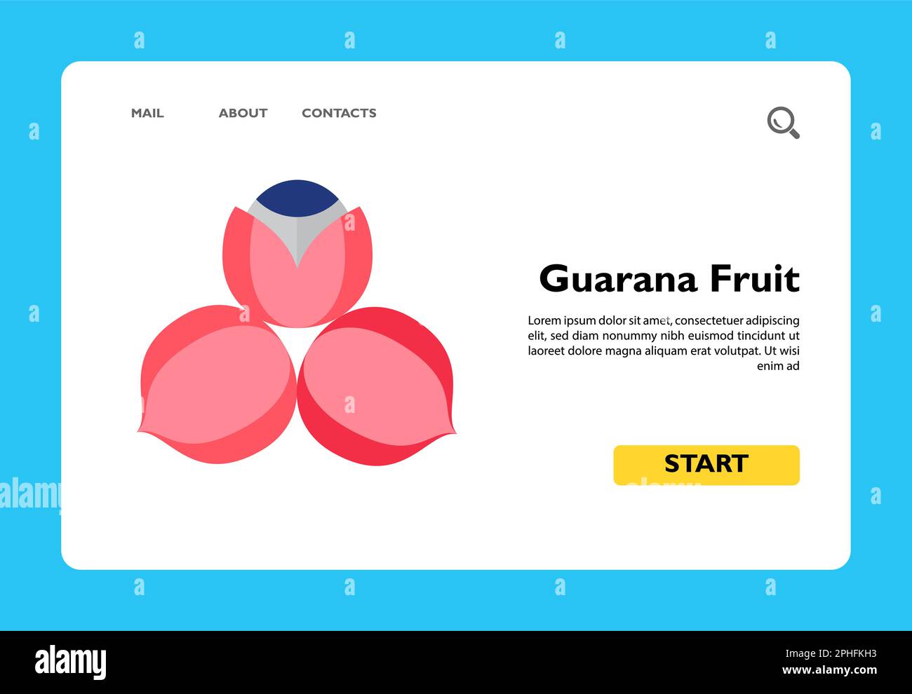 Guarana Fruit Icon Stock Vector Image & Art - Alamy