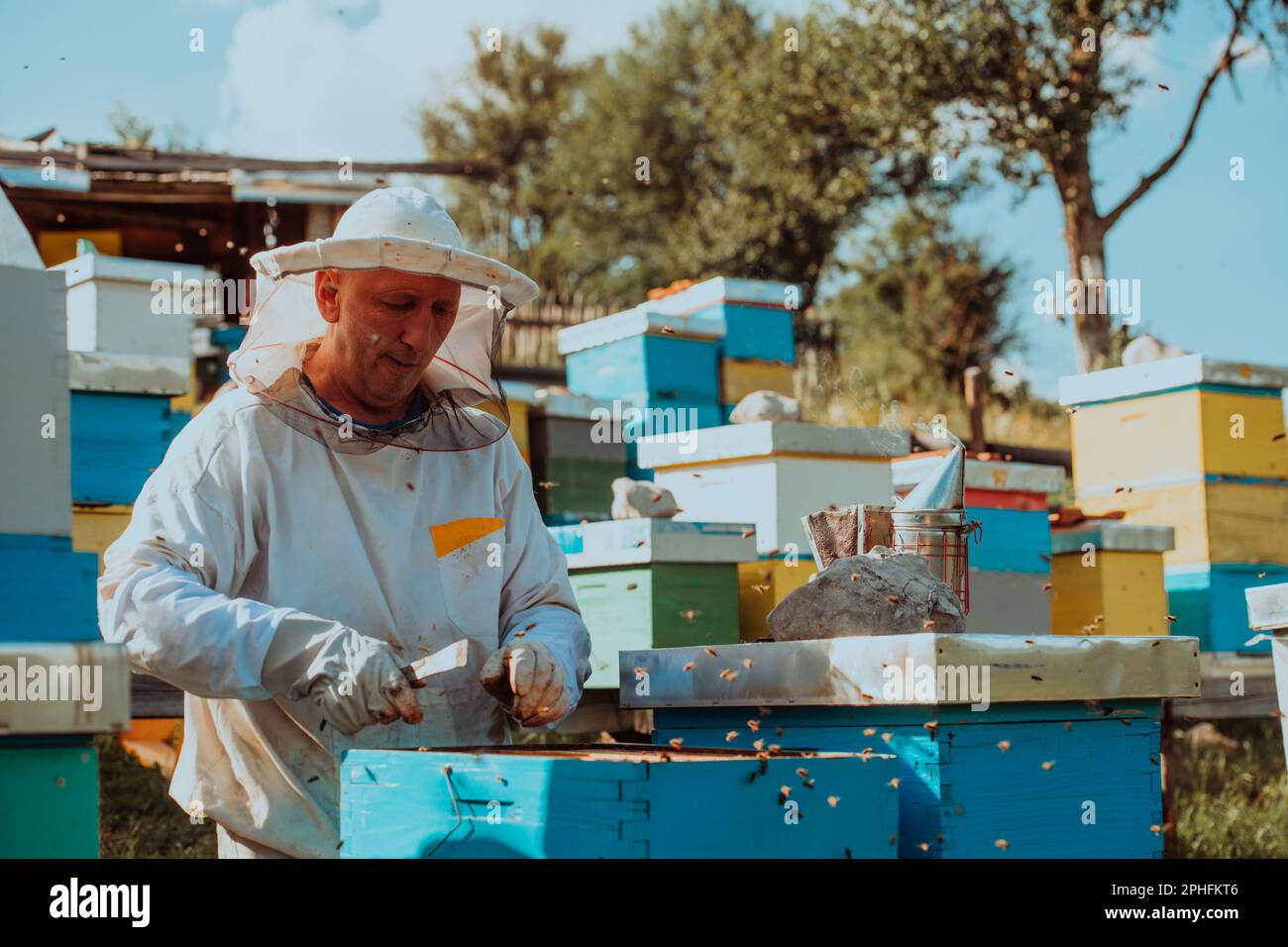 Beekeeper checking honey on the beehive frame in the field. Small ...