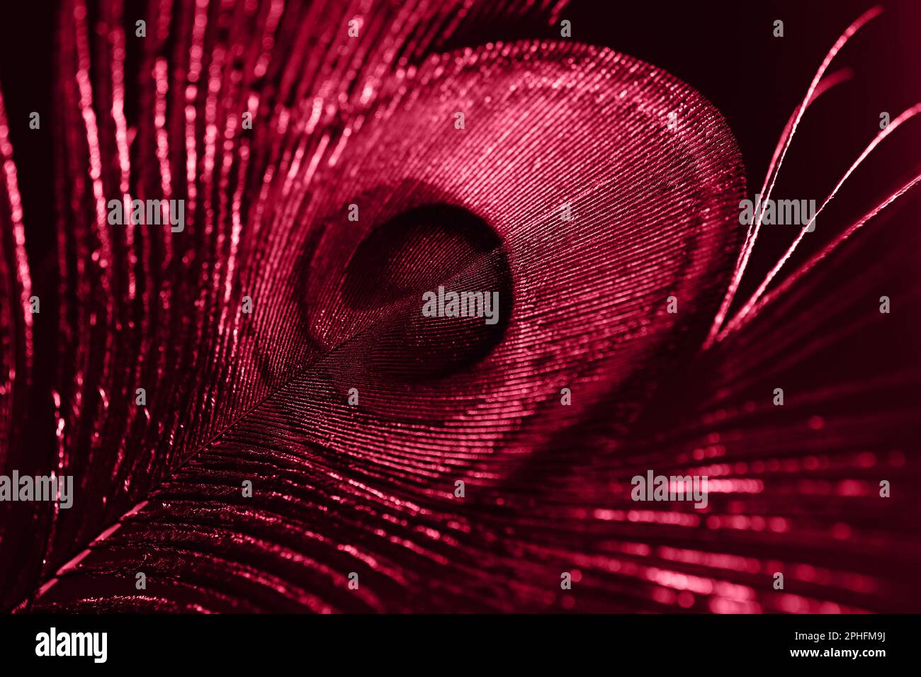 Royal peacock color hi-res stock photography and images - Alamy