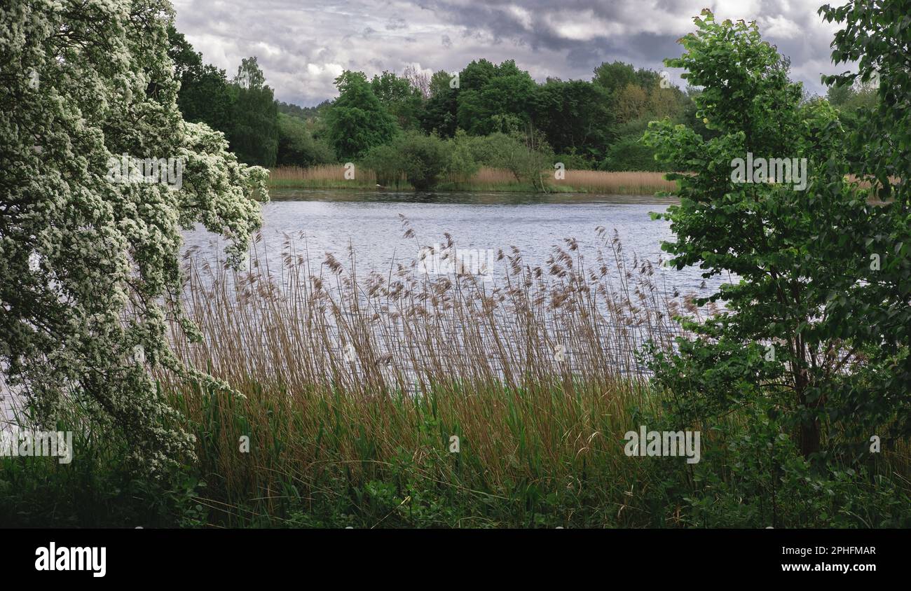 Landscape with trees and a lake at the Dr Neil's Garden in Scotland ...
