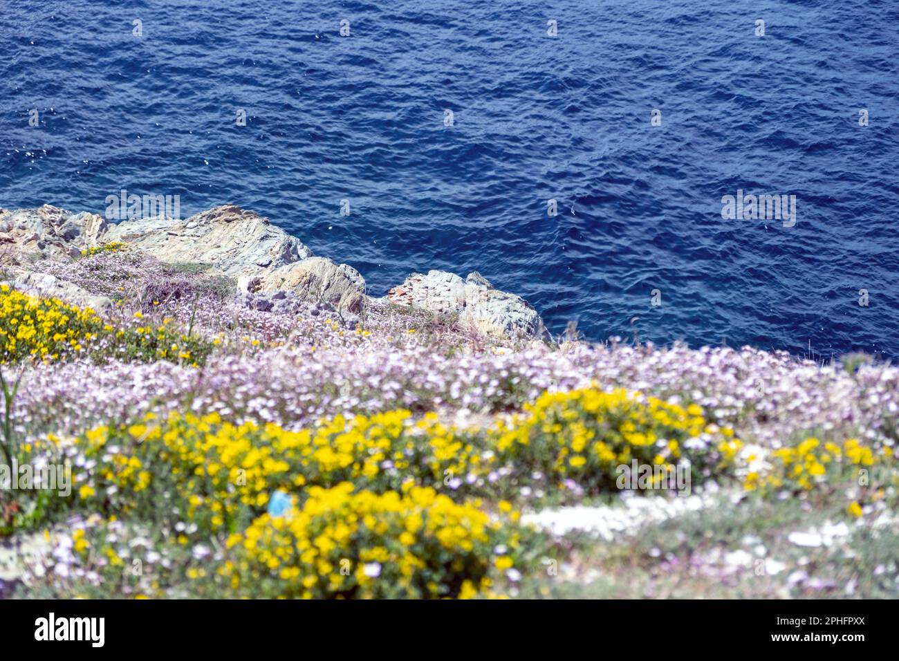Spring flowers greece island sea hi-res stock photography and images ...