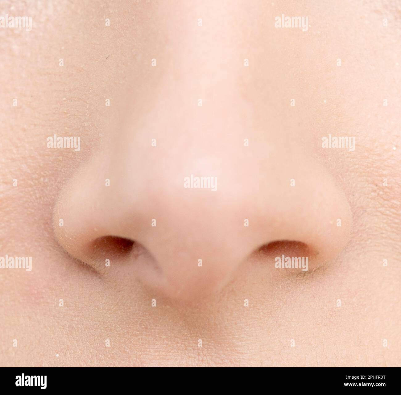Close up shot of nose Stock Photo - Alamy