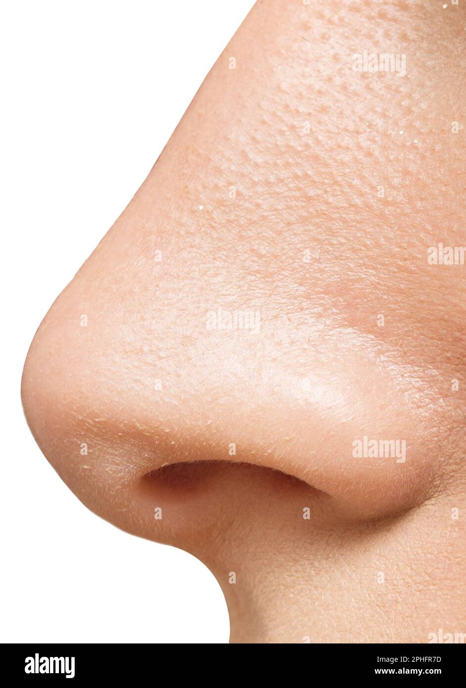 Nose isolated on white background Stock Photo - Alamy