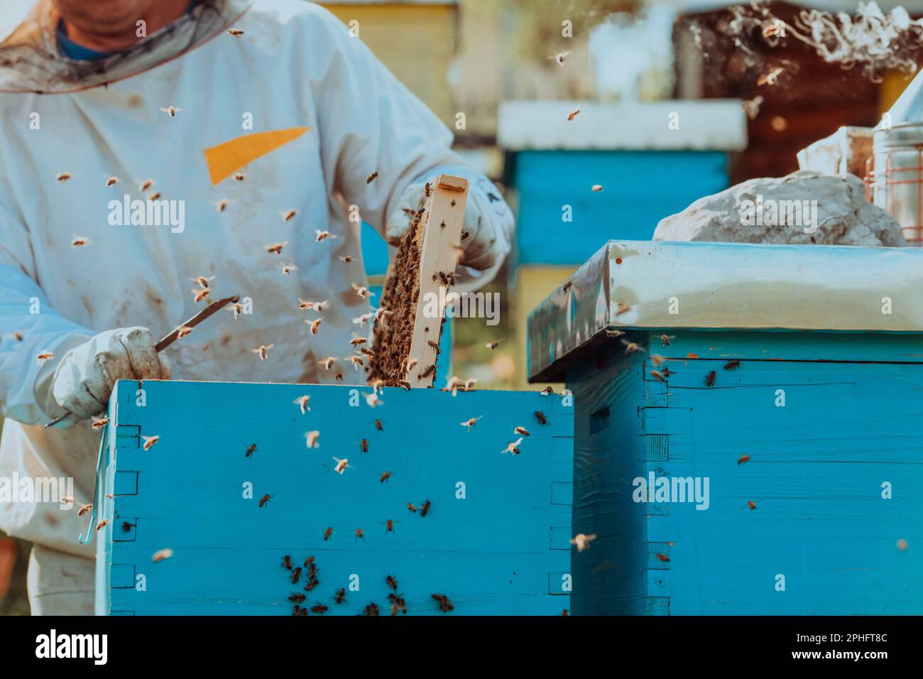 Beekeeper checking honey on the beehive frame in the field. Small ...