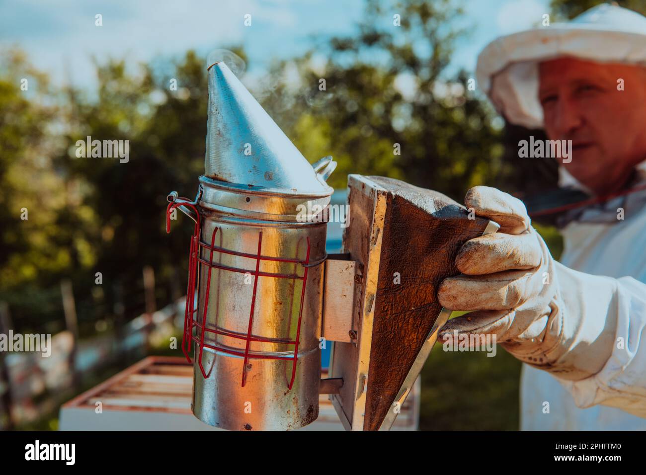 The beekeeper using smoke to calm the bees and begins to inspect the ...