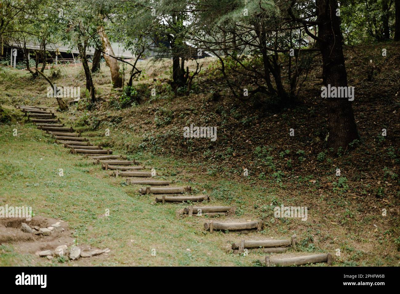 A landscape of wooden steps in a park covered in greenery in the ...