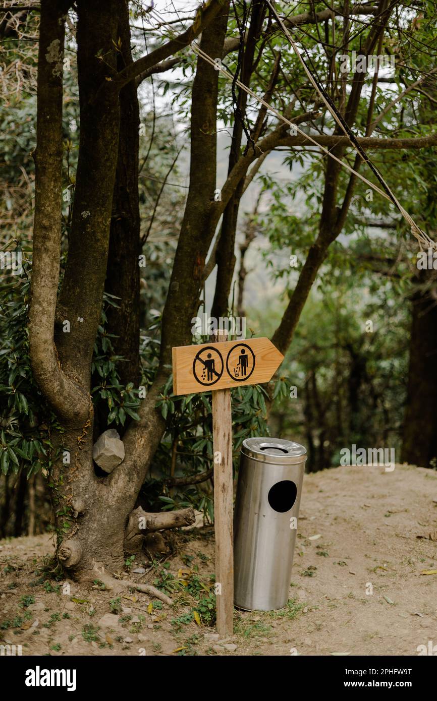 A vertical shot of a trash can in a forest covered in greenery Stock ...