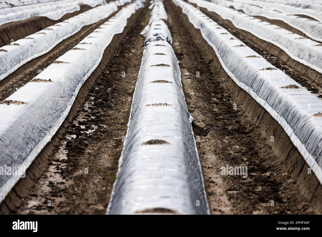Hartheim, Germany. 28th Mar, 2023. Foils lie on earthen mounds for ...
