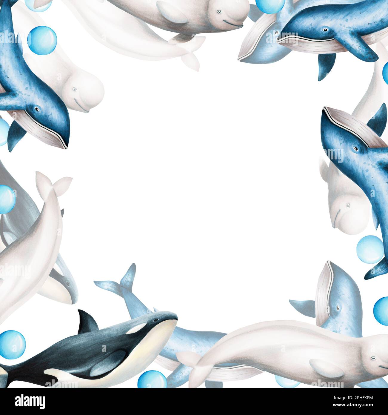 Watercolor frame with beluga, blue whale and killer whale isolated on ...