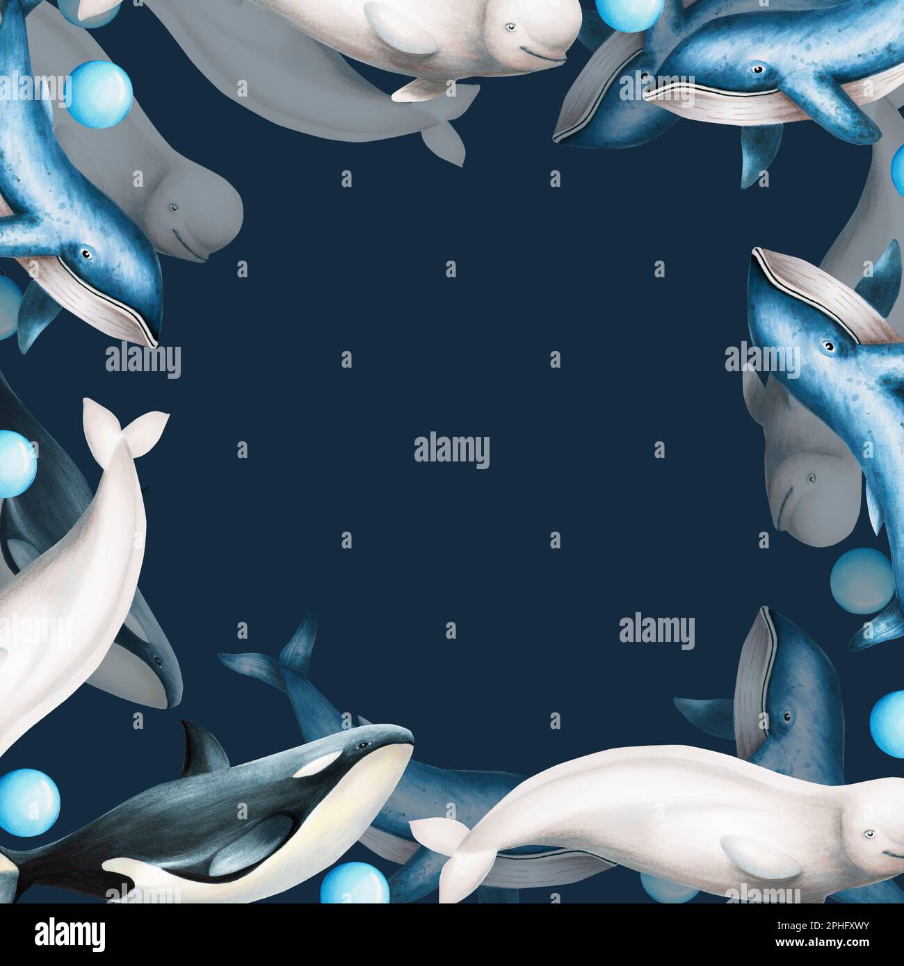 Watercolor frame with beluga, blue whale and killer whale isolated on ...