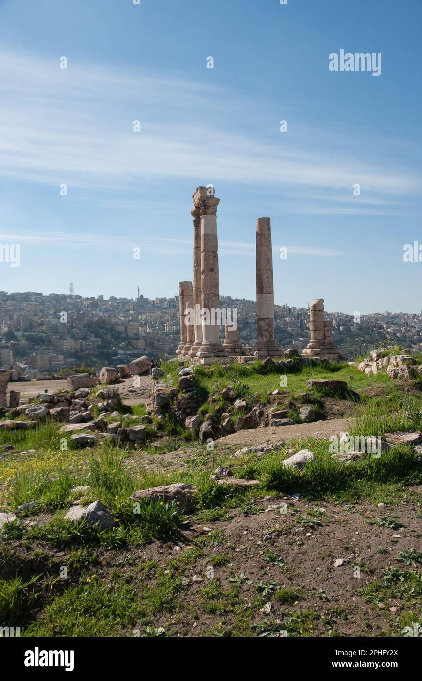 Remains of the Temple of Hercules , the Citadel, Amman, Jordan Stock ...