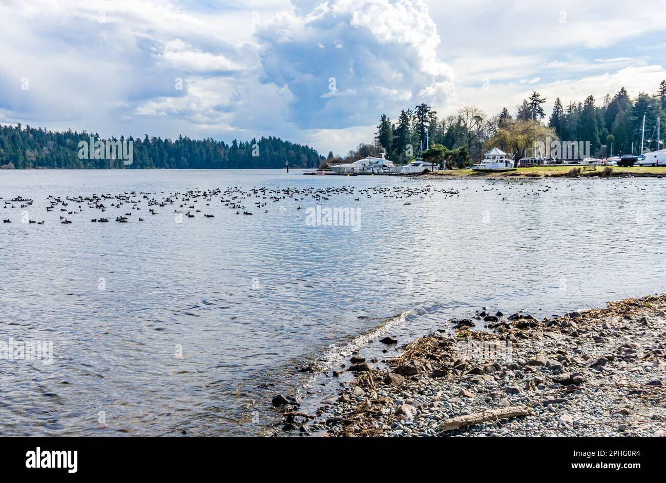A boat along the shore of Lake Washington in Seattle, Washington Stock ...