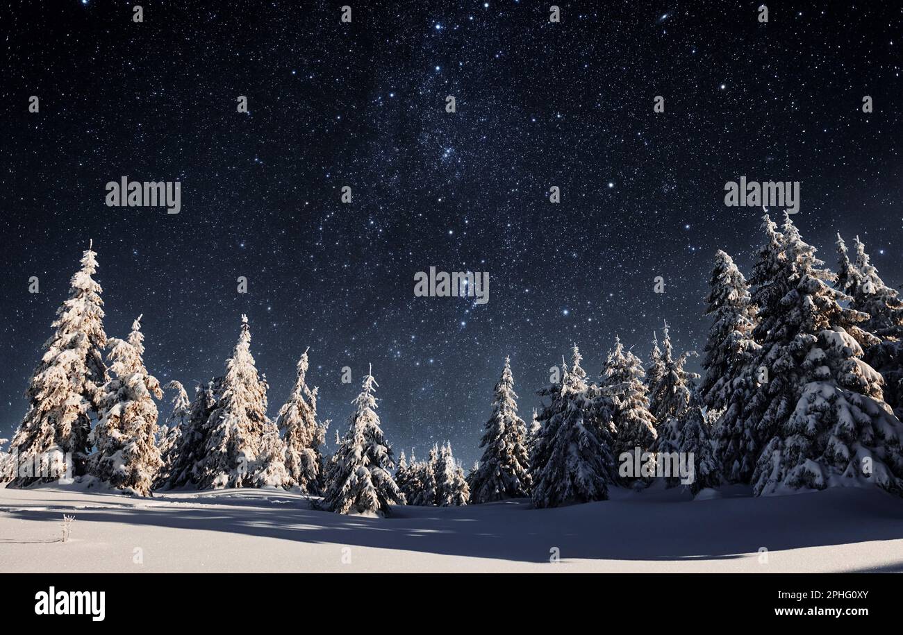Starry sky in winter snowy night. Majestic landscape. Courtesy of NASA ...