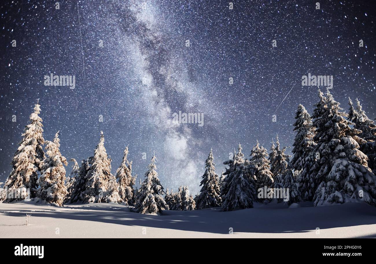 Starry sky in winter snowy night. Big milky way. Majestic landscape ...