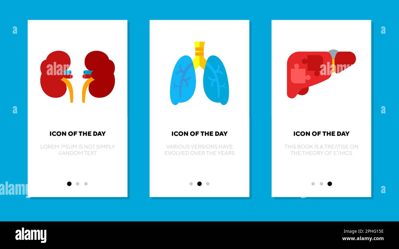 Internal organs flat icon set Stock Vector Image & Art - Alamy