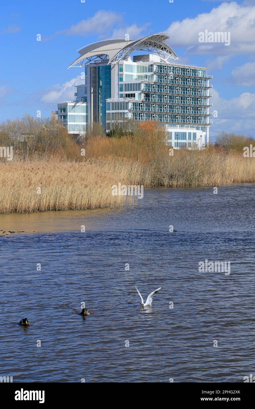 Cardiff Bay Wetlands Nature Reserve, Cardiff Bay, South Wales, UK Stock ...