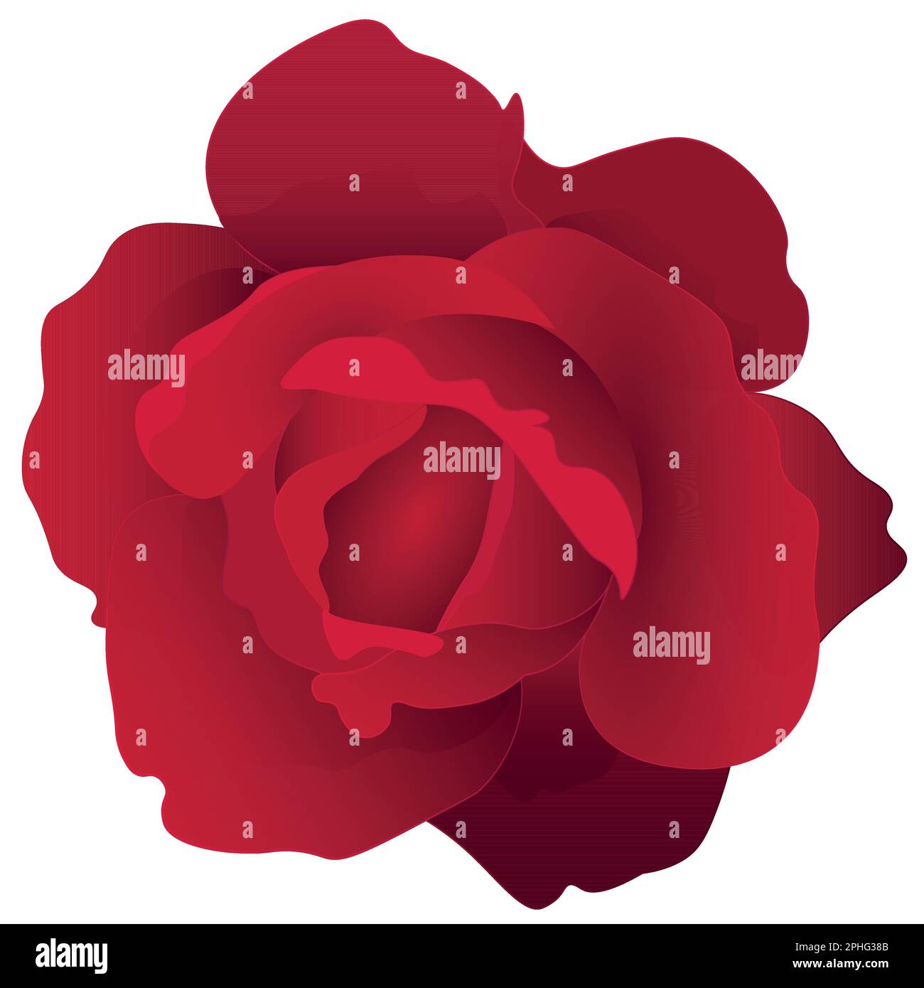 Realistic Red Rose flower vector template element Stock Vector Image ...