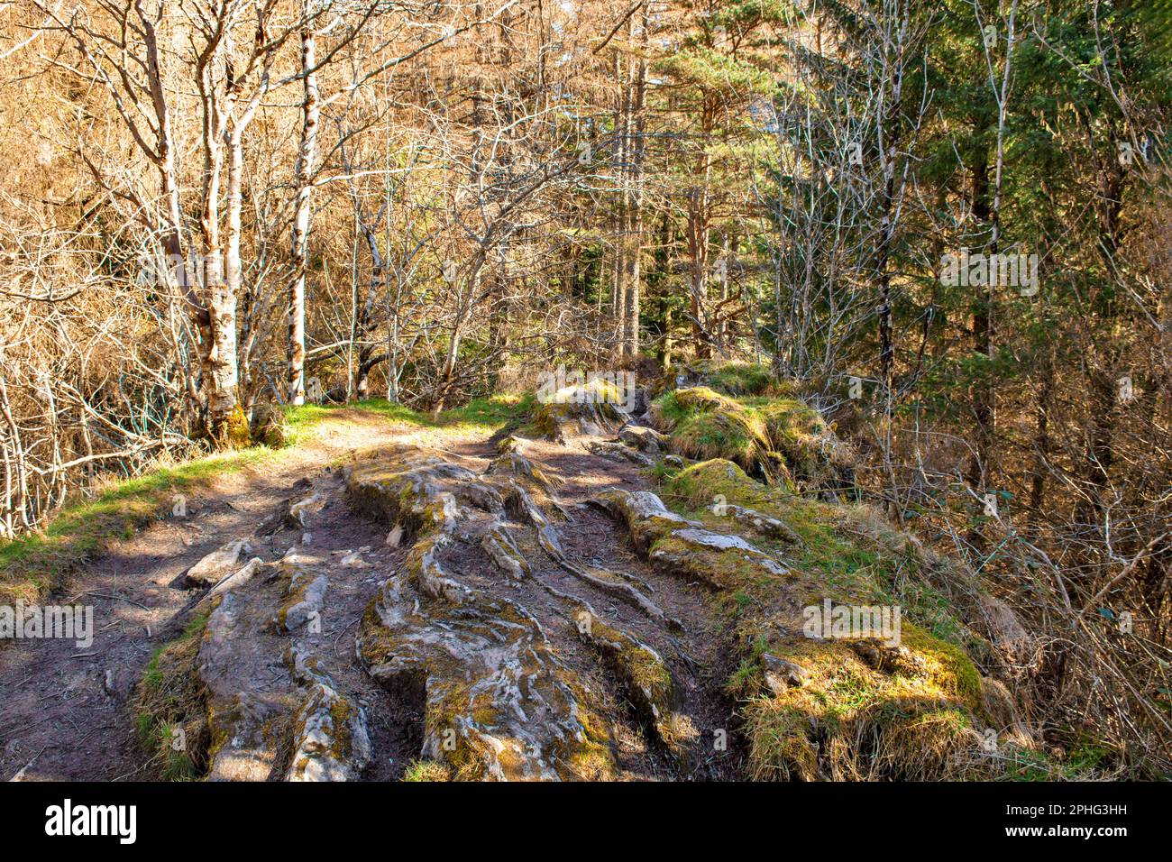 Glen Coe Highland Scotland Signal Rock trail the flat top of the Signal ...