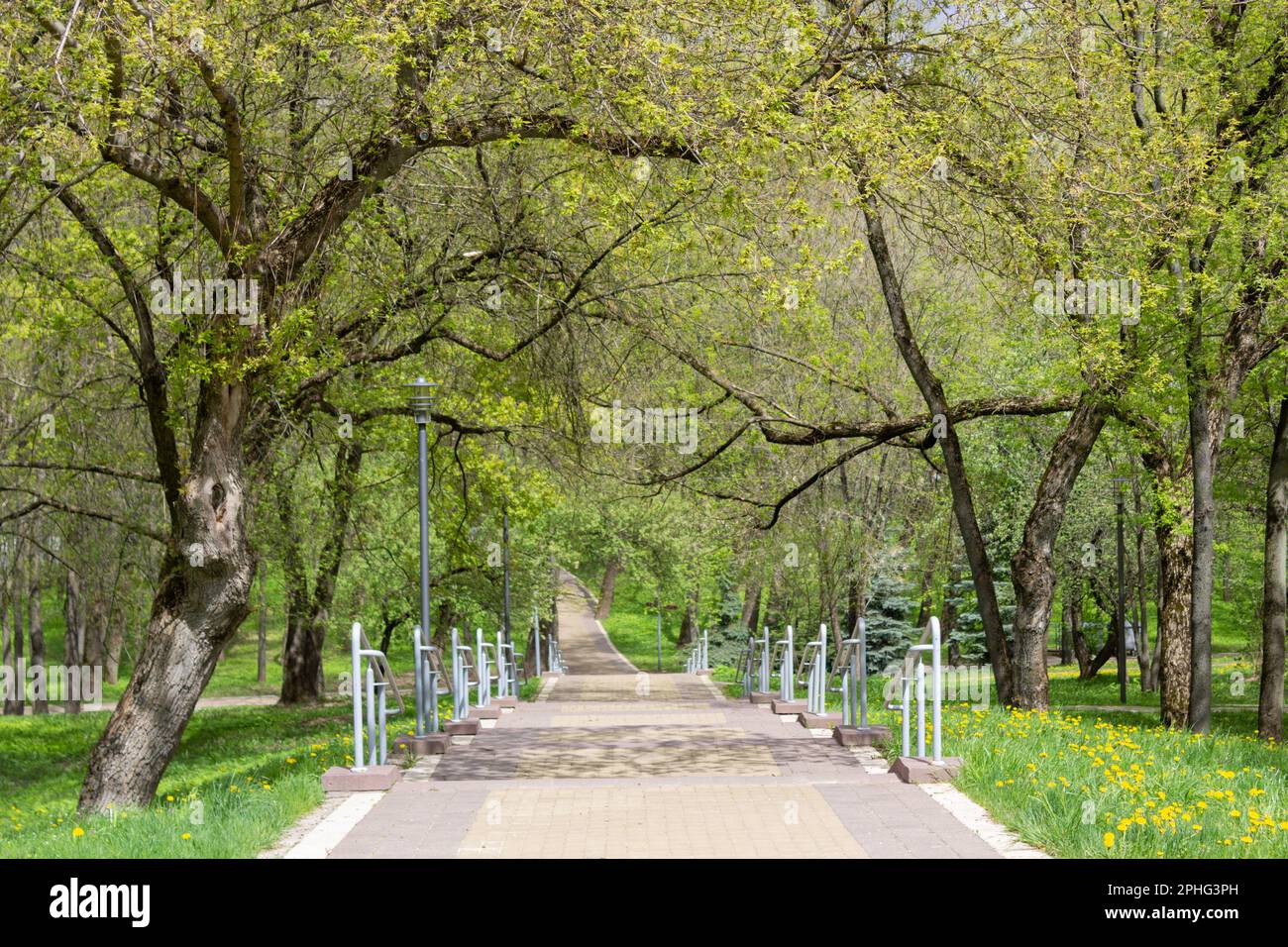 Spring park in sunny weather with a view of the asphalt path with steps ...