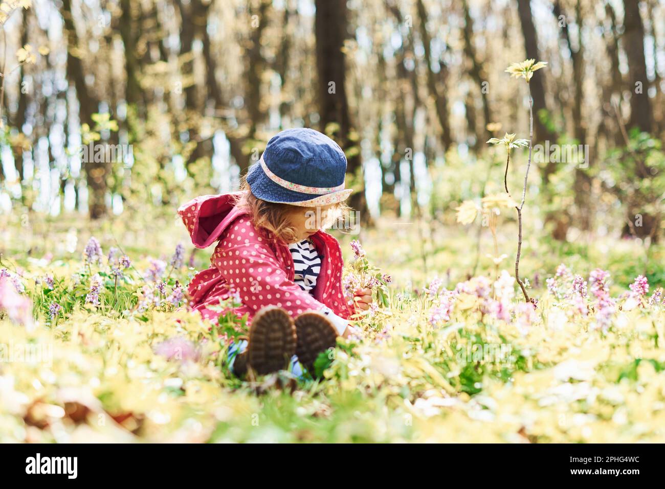 Happy little girl in blue hat have walk in spring forest at daytime ...